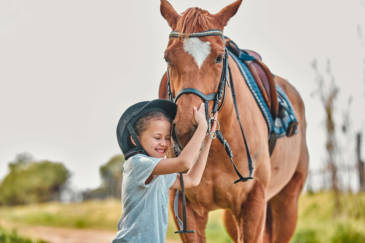 Home - Equine Network Foundation