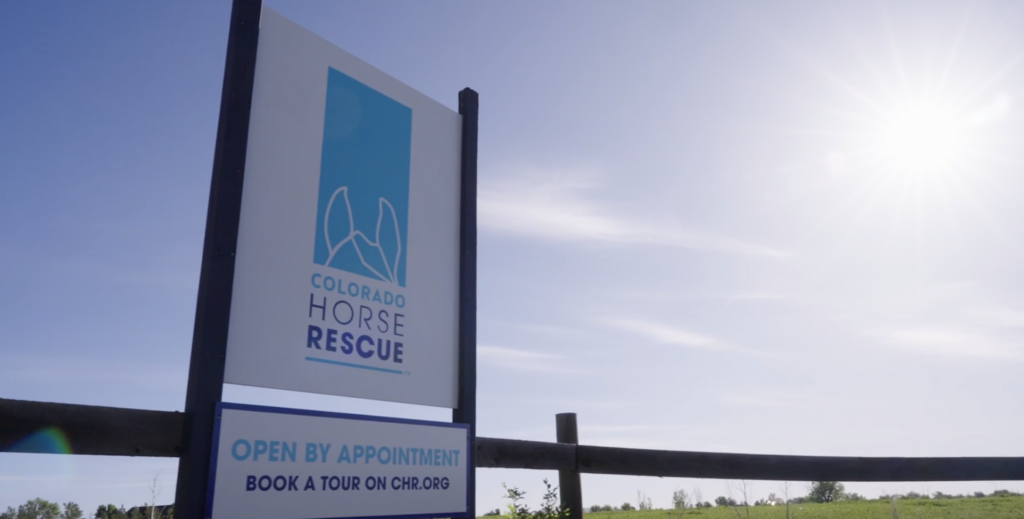 Home - Equine Network Foundation